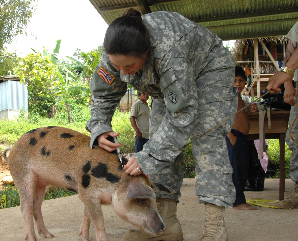 This Little Piggy ... | Article | The United States Army
