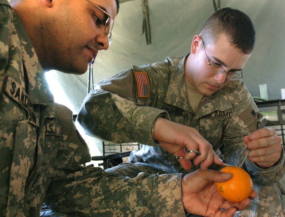 Fruit Surgery | Article | The United States Army