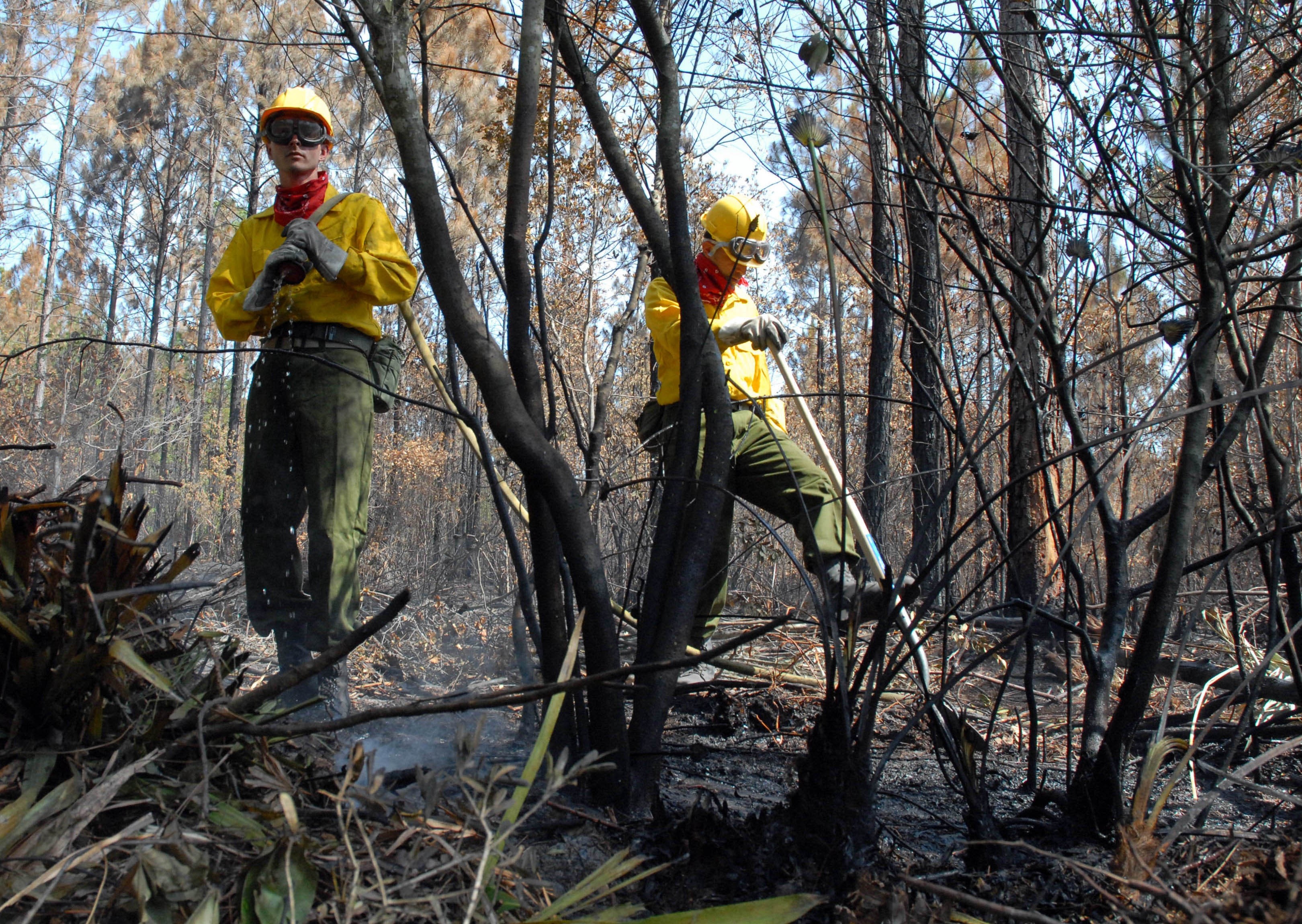 National Guard Fights Wildfires | Article | The United States Army National Guard Fights Wildfires | Article | The United States Army