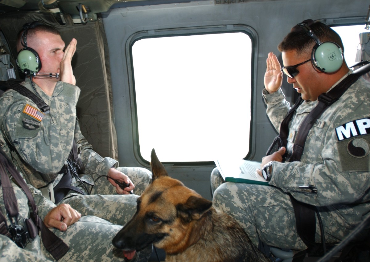 Raise Your Right Paw | Article | The United States Army