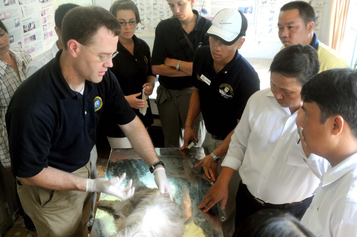 Army veterinarians work in Vietnam | Article | The United States Army