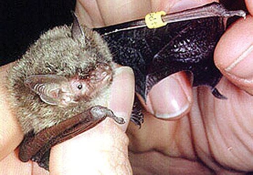 DEM showcases various species inside JBM-HH | Article | The United ...