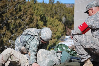 10th Combat Support Hospital hosts Expert Field Medical Badge | Article ...
