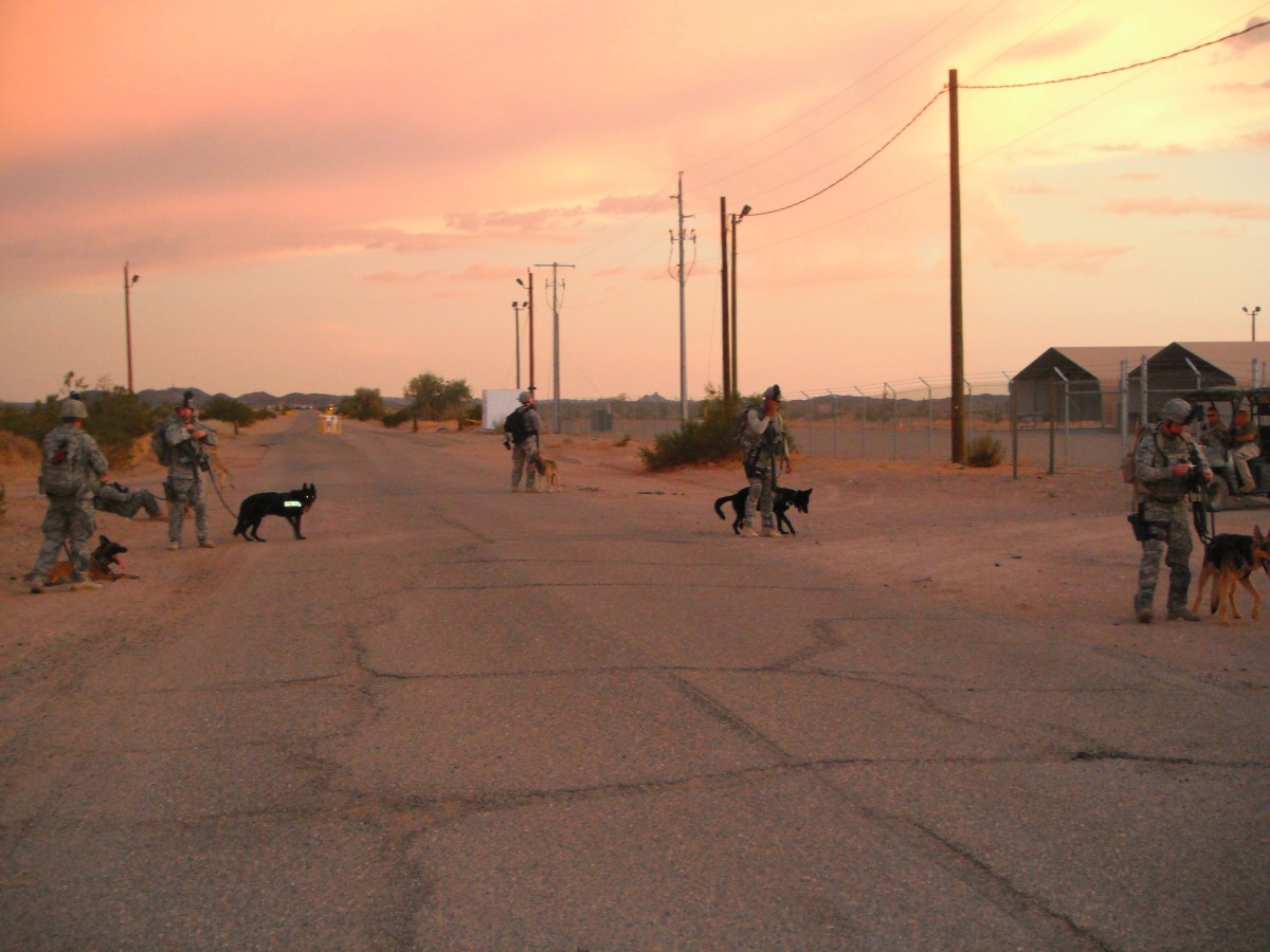 Challenging assignment for man and beast | Article | The United States Army