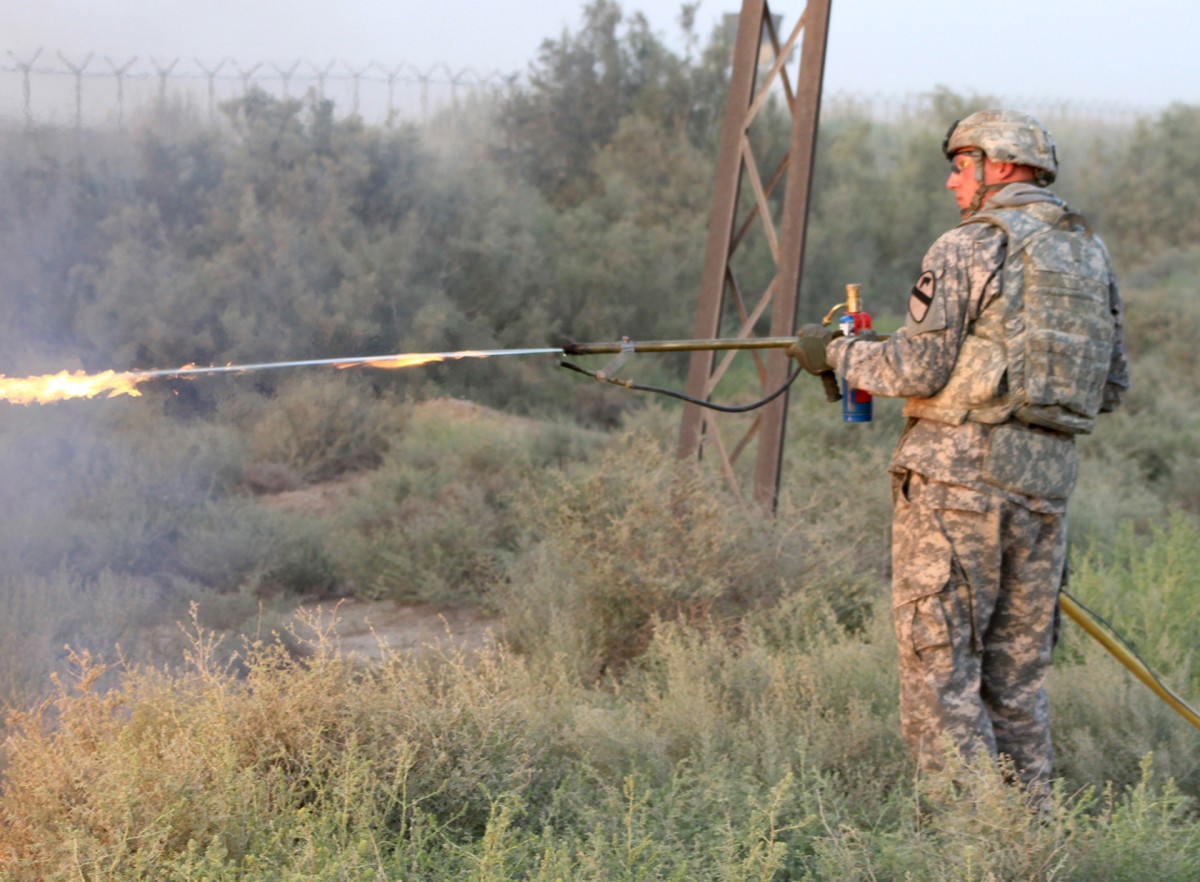 Soldier clears brush, expands protection | Article | The United States Army