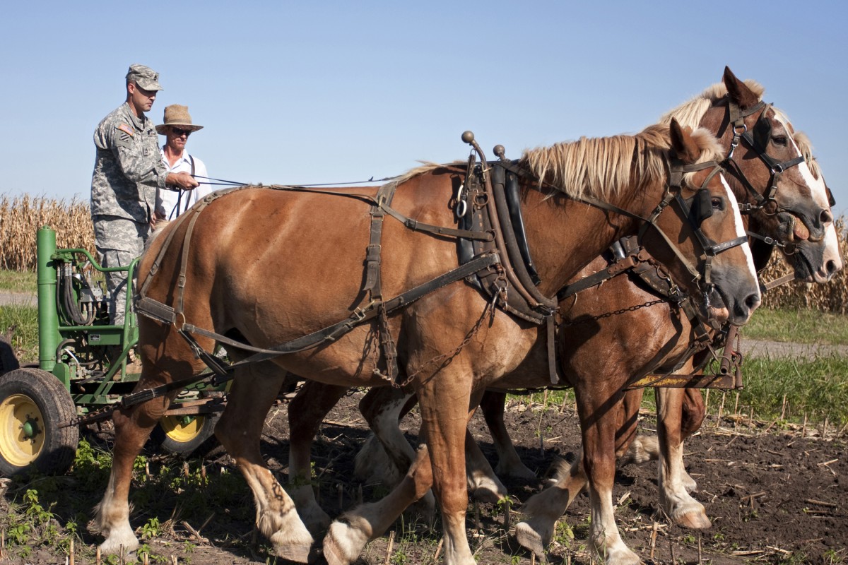 Agribusiness Soldiers focused on Afghanistan mission | Article | The ...