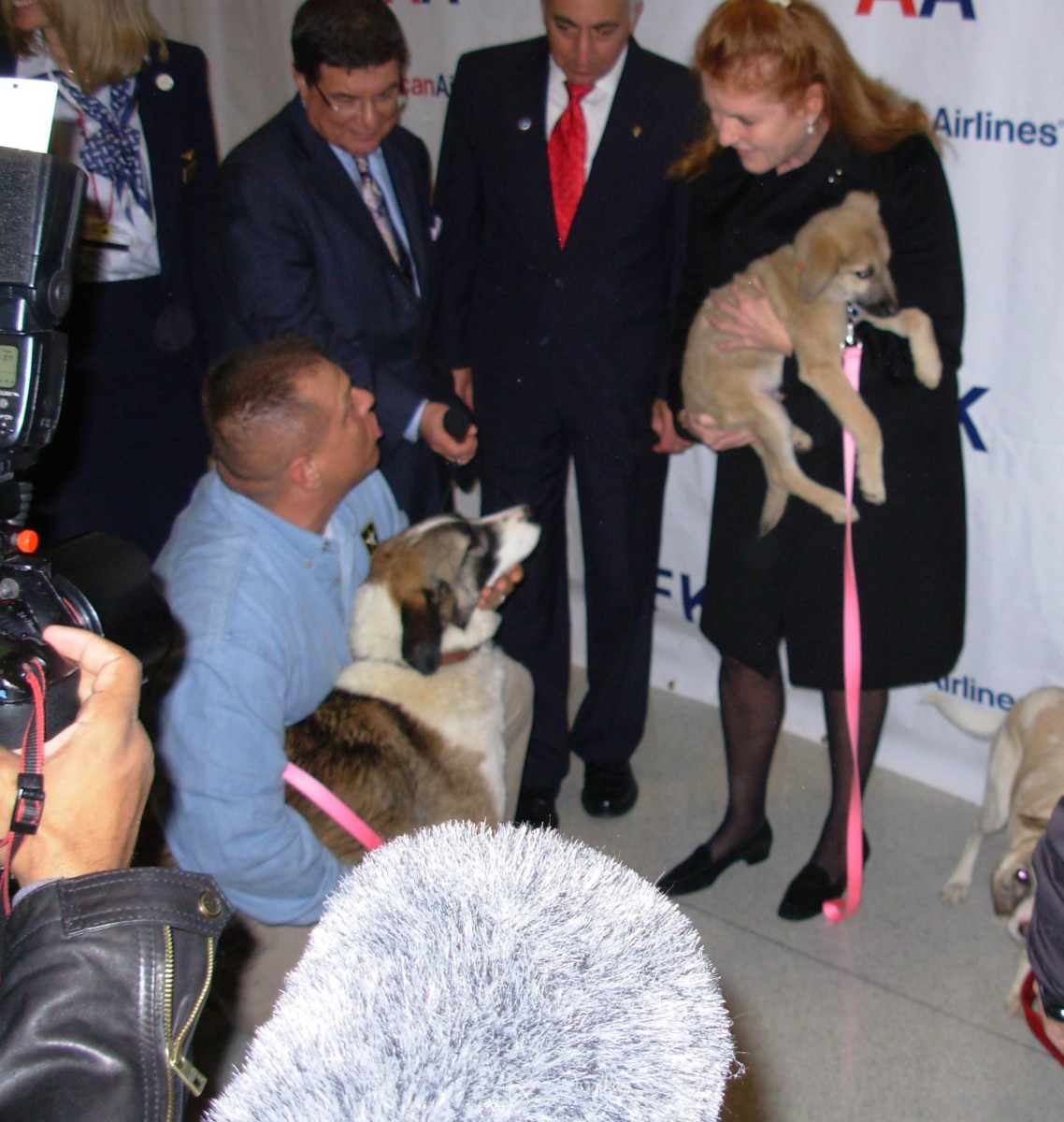 Soldiers, animals build bonds during deployments | Article | The United ...
