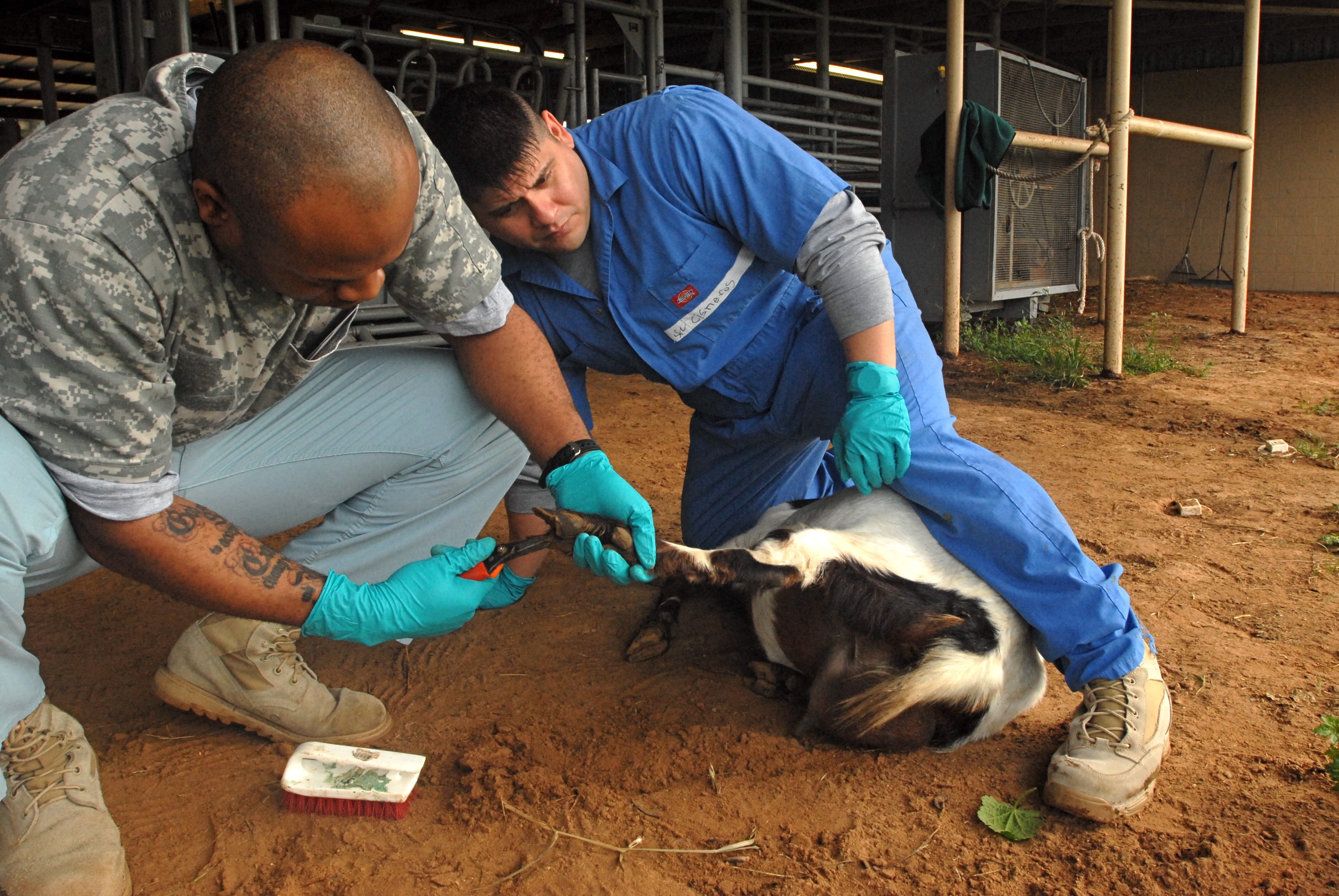 Time to get your hands dirty | Article | The United States Army