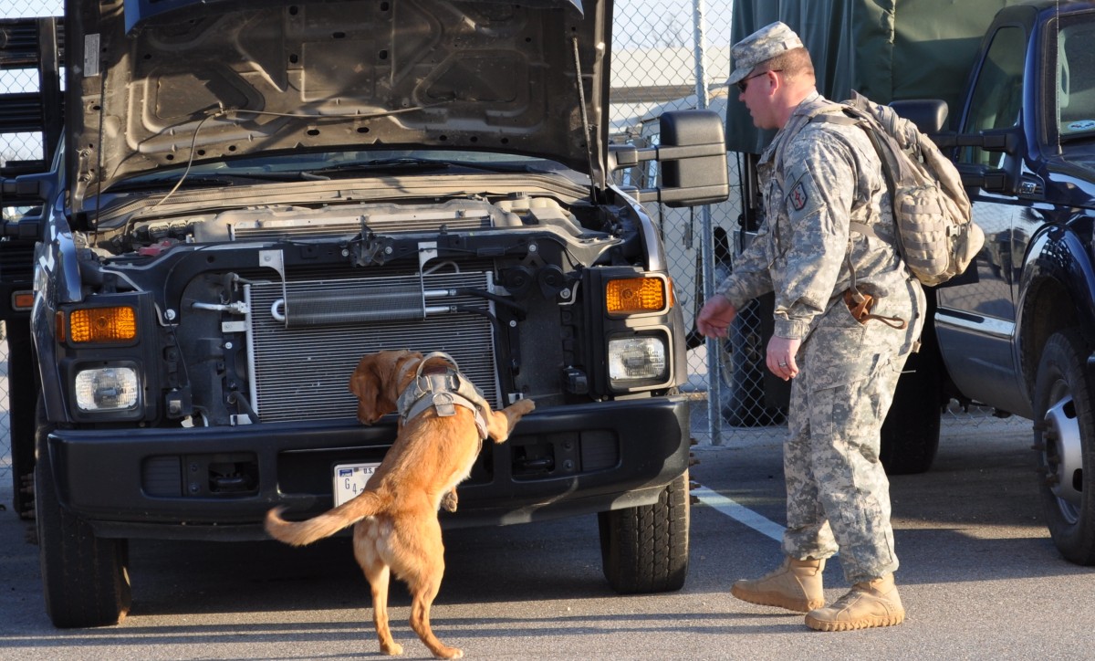 Fort Leonard Wood unit hosts FORSCOM K9 certification | Article | The ... Fort Leonard Wood unit hosts FORSCOM K9 certification | Article | The ...