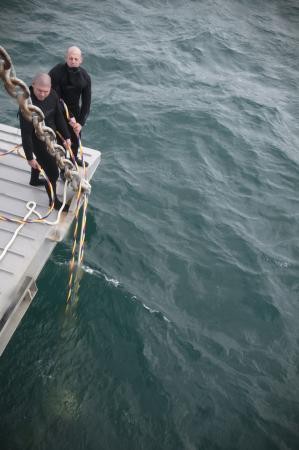 Underwater engineers | Article | The United States Army