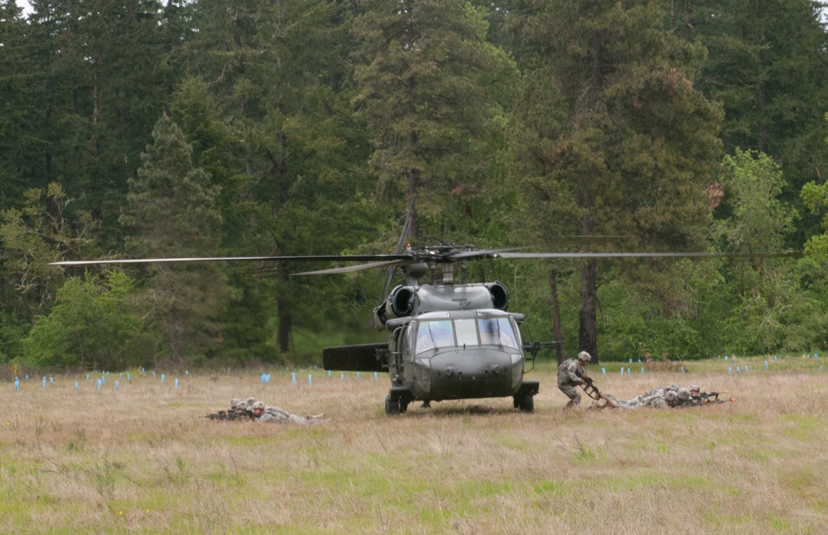 Assault Helicopter Battalion delivers troops anywhere | Article | The ...