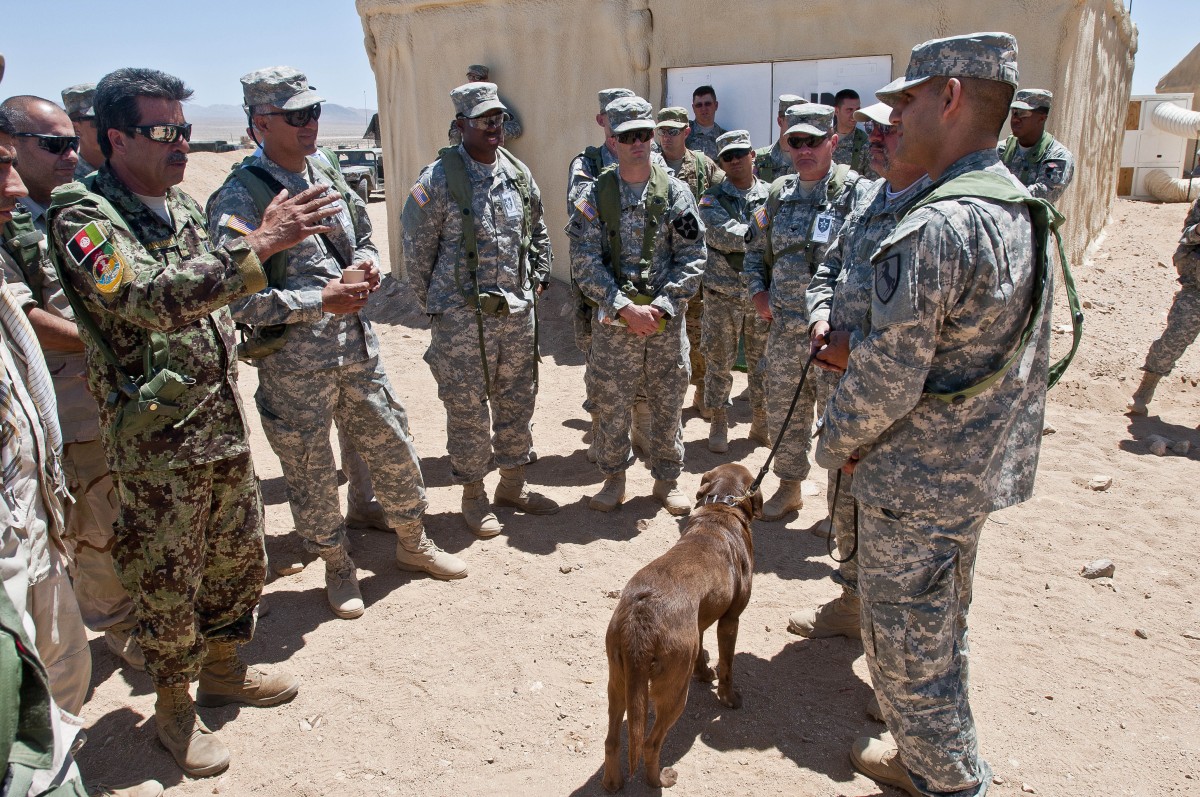 Furry force multipliers a big hit at NTC | Article | The United States Army