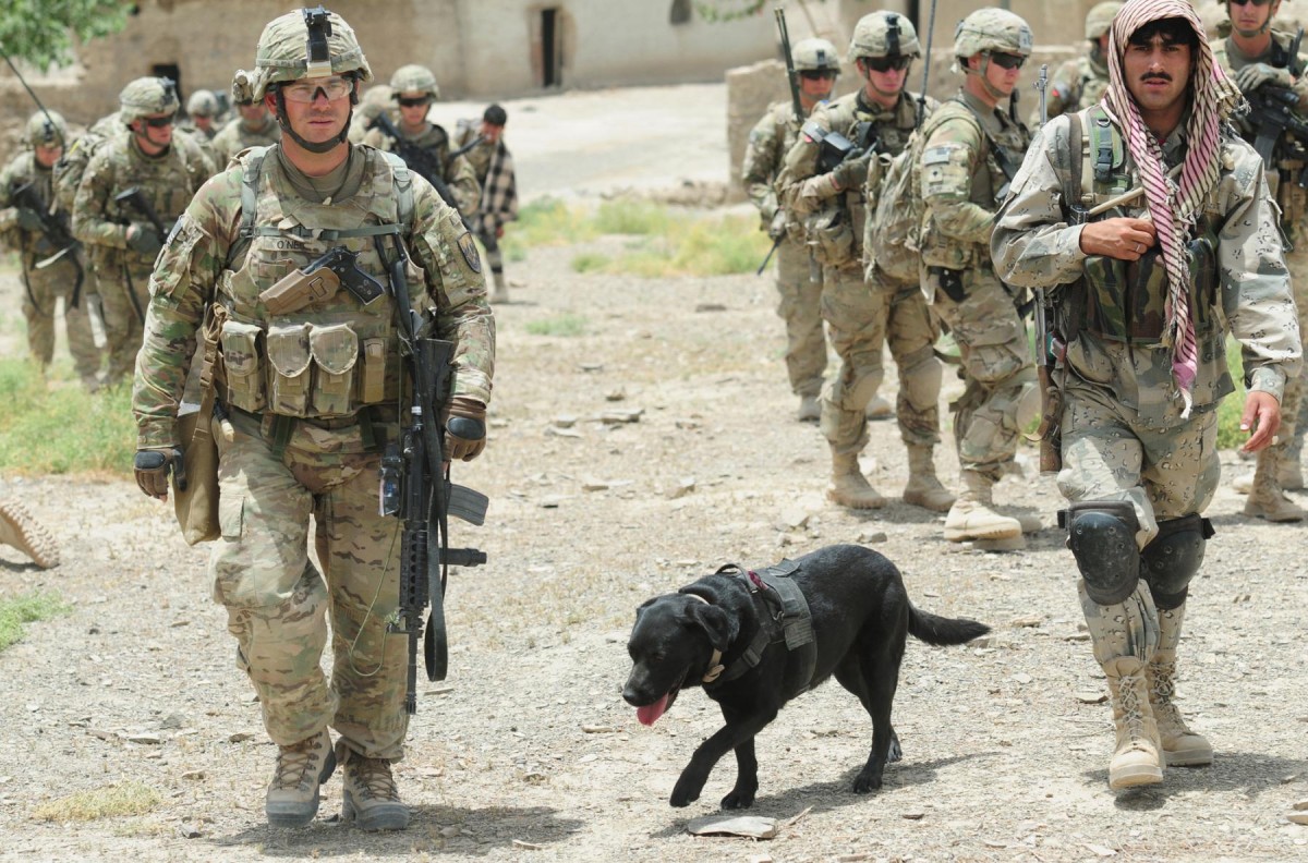 ABP lead successful operation in southern Afghanistan | Article | The ...