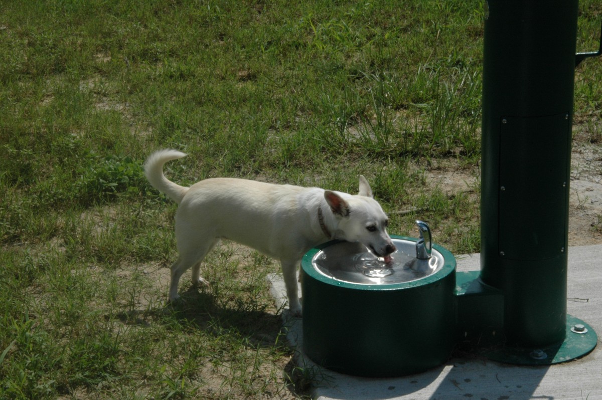 All park and no bite | Article | The United States Army