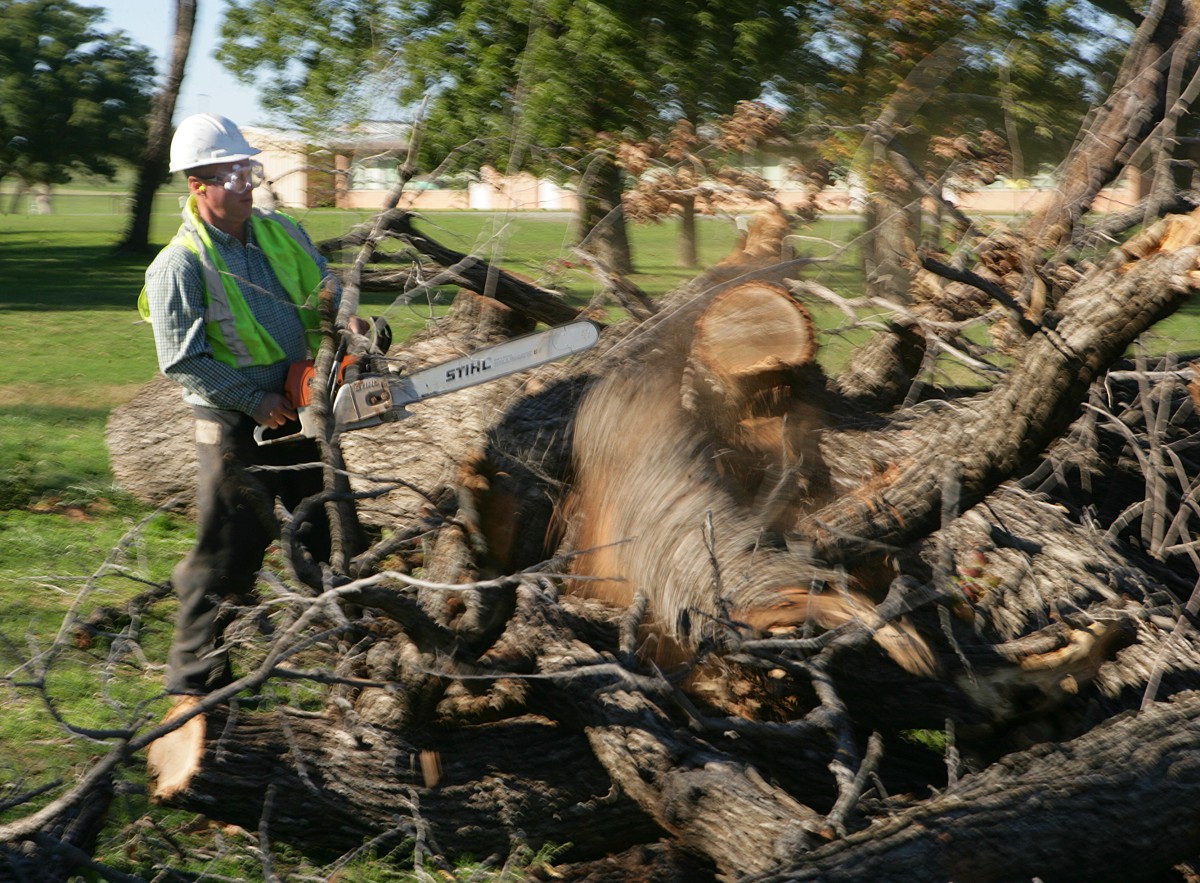 Crews removing 500 dead trees across post | Article | The United States ...