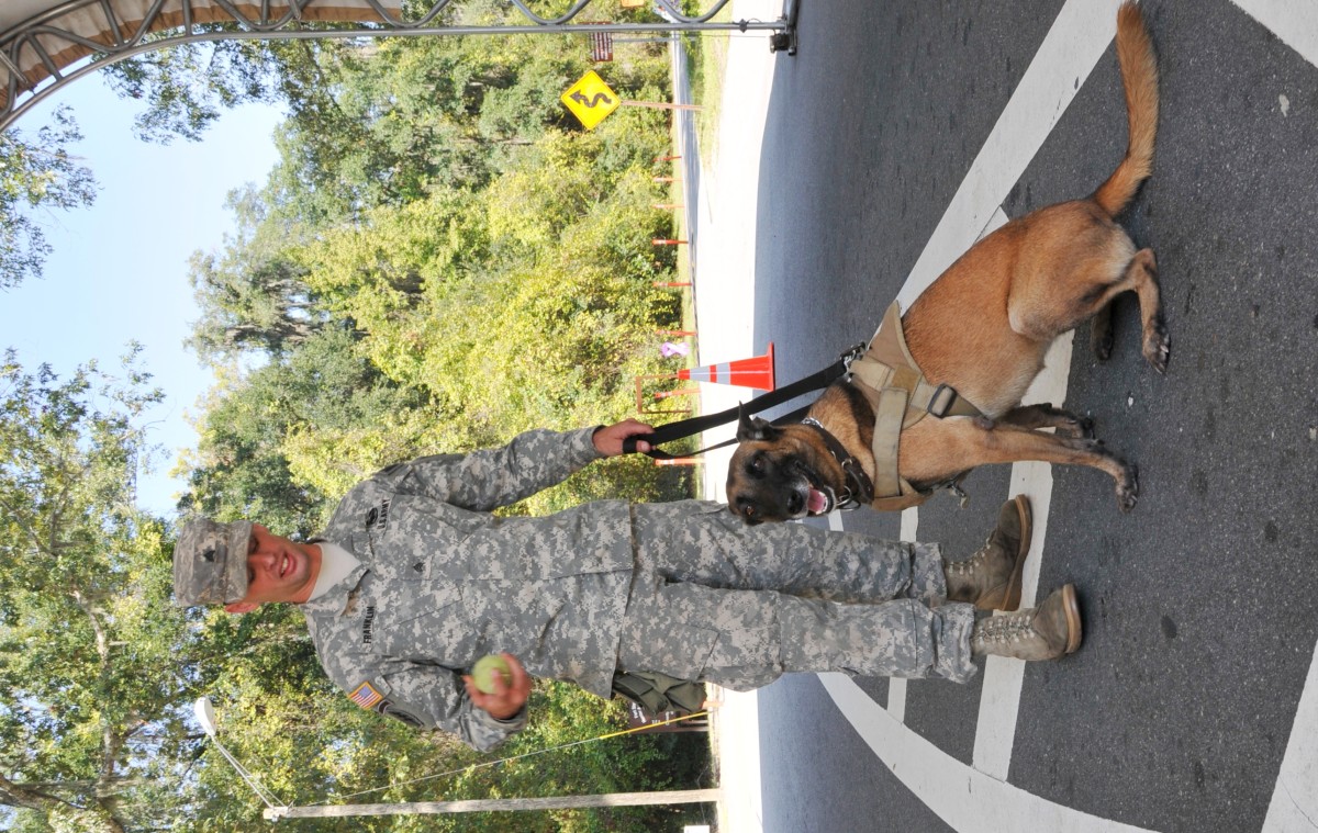 Military Working Dogs protect Hunter | Article | The United States Army