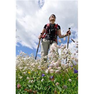 Tick tactics | Article | The United States Army