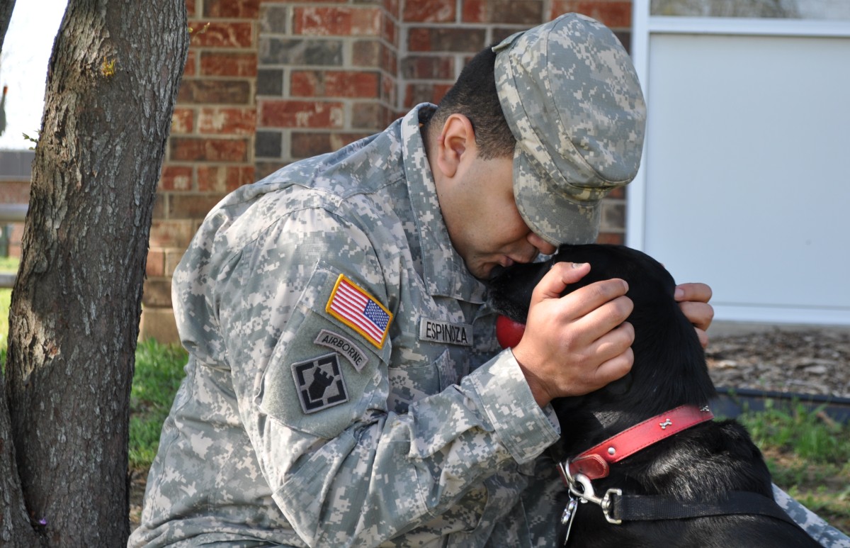 From mine maven to couch companion: A military working dog's journey to ...