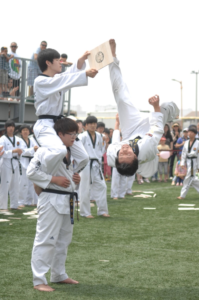 Spring Fest 2013 | Article | The United States Army