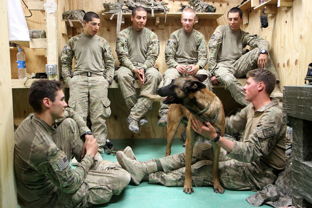 Tactical explosive detection dog boosts morale during mission | Article ...
