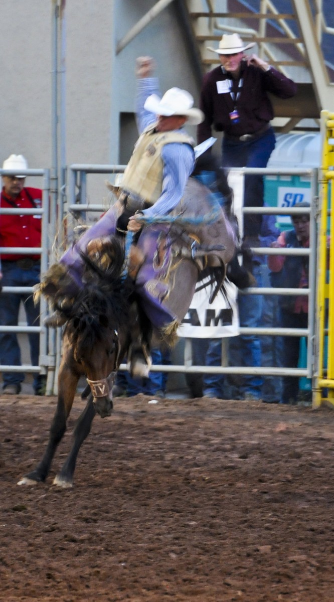 Pikes Peak or Bust Rodeo honors Soldiers | Article | The United States Army