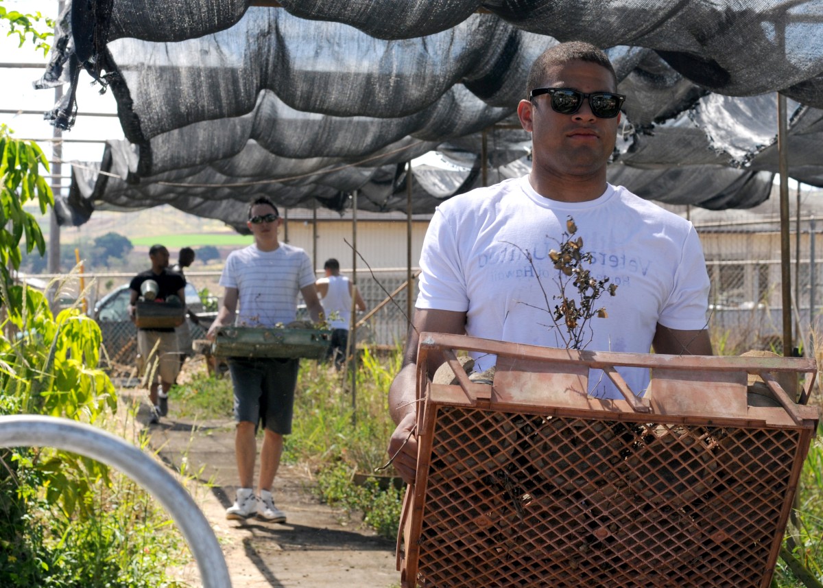 715th MI Battalion Soldiers spruce up Waialua greenhouse | Article ...