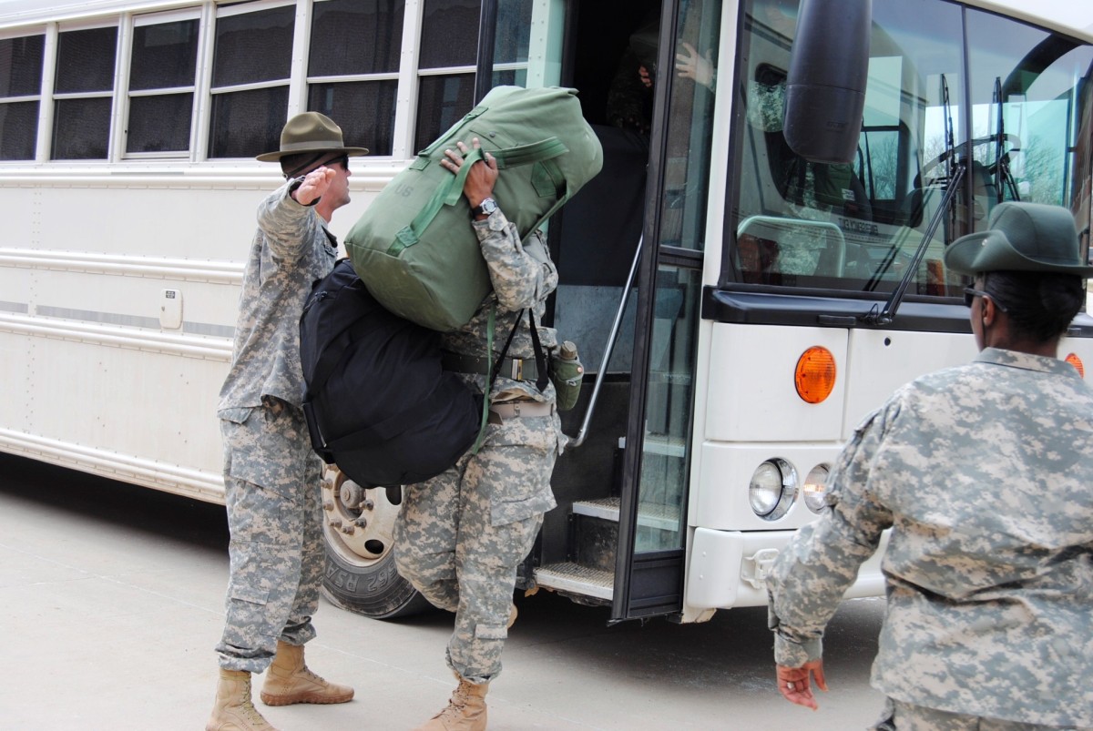 Reception and Intergration: The Myth of the Shark Attack | Article ...