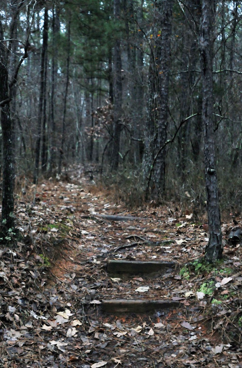 Take a hike at FDR Park | Article | The United States Army