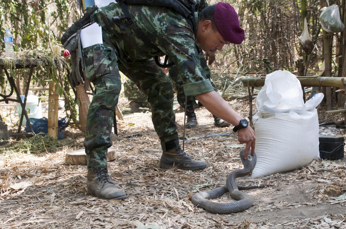 Jungle Survival Photo Story | Article | The United States Army