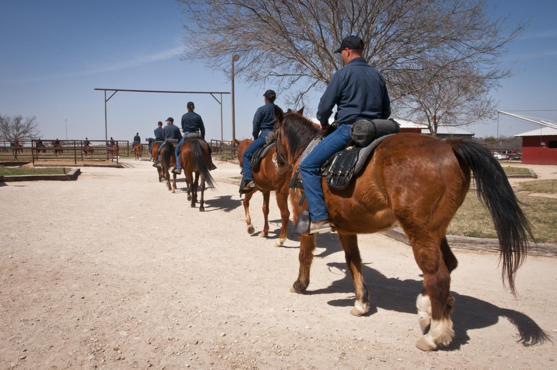First Team's Australian partners take ride with Horse Cav Detachment ...