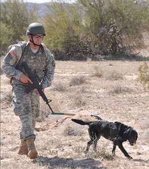 Test to Field ATEC | Article | The United States Army