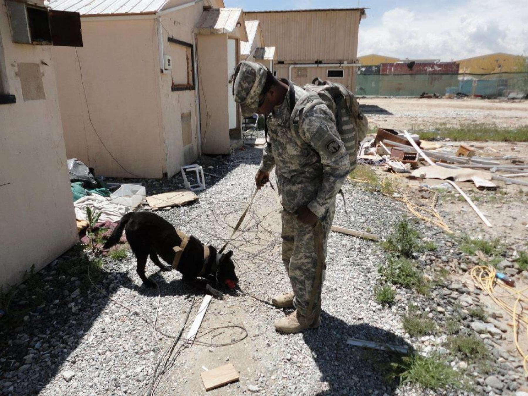 MWD supports special operations forces | Article | The United States Army