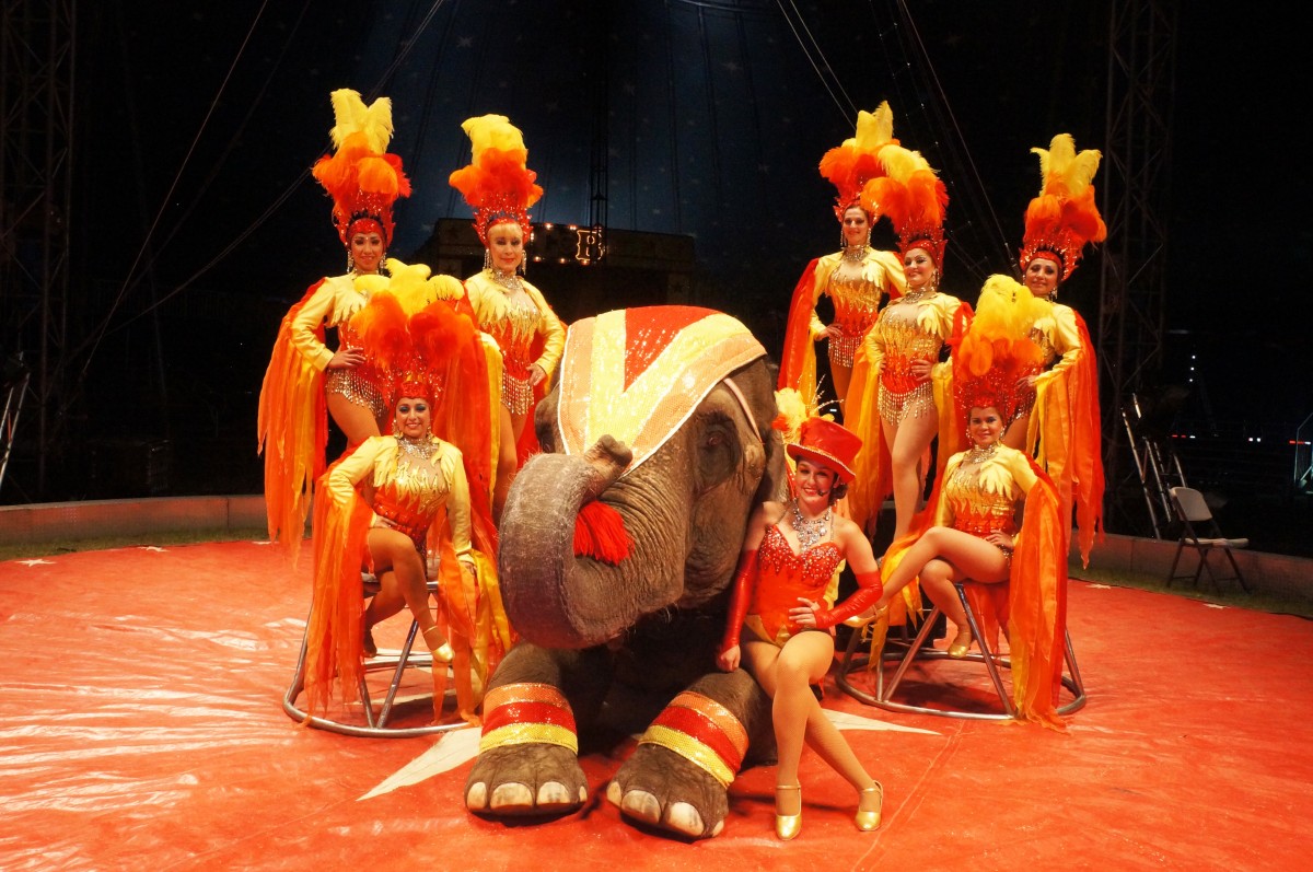 Circus returns to post after more than a decade | Article | The United ...