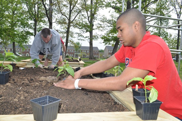 USO garden project helps recovering servicemembers | Article | The ...