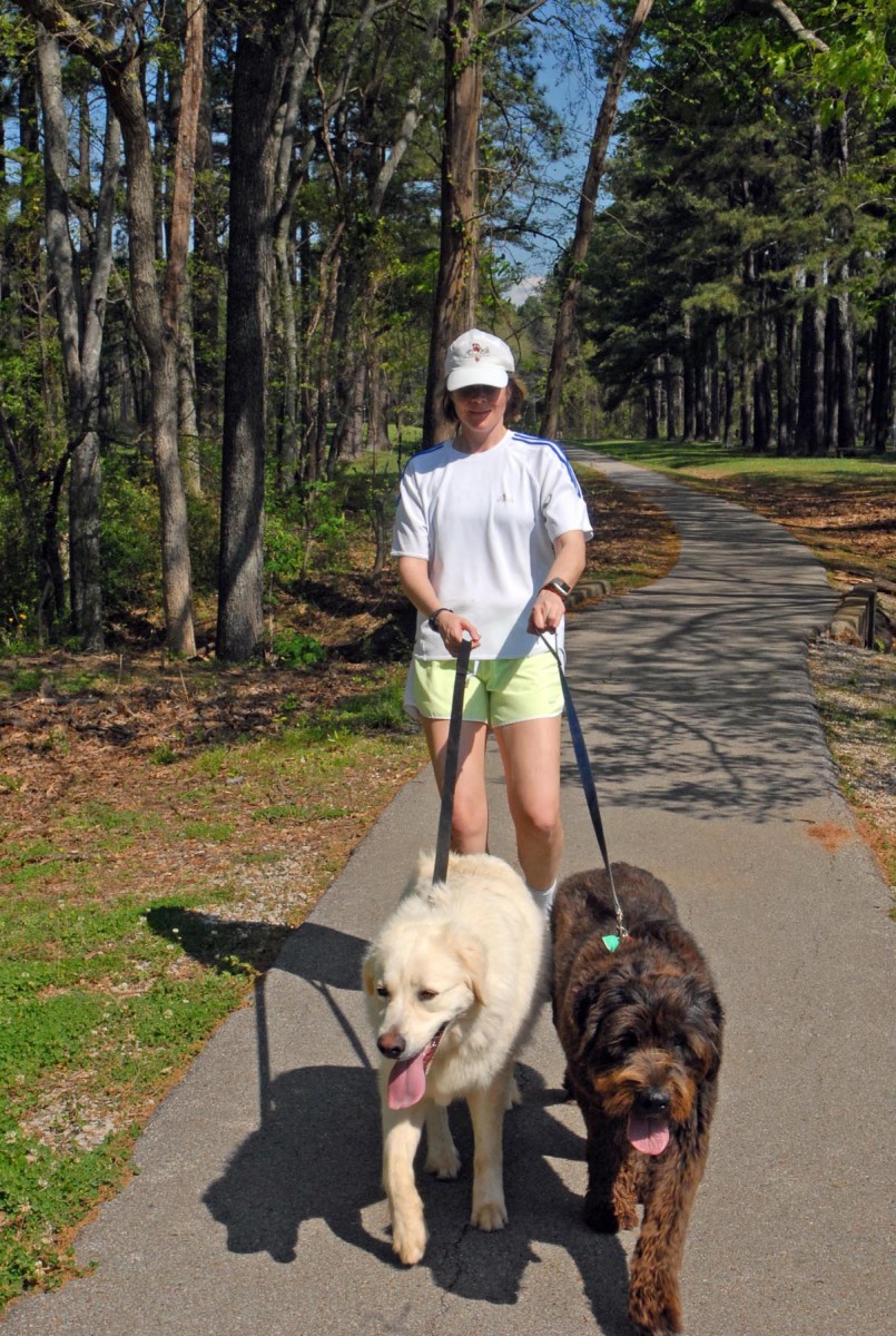 Army Family Action Plan Boosts Quality of Life | Article | The United ...