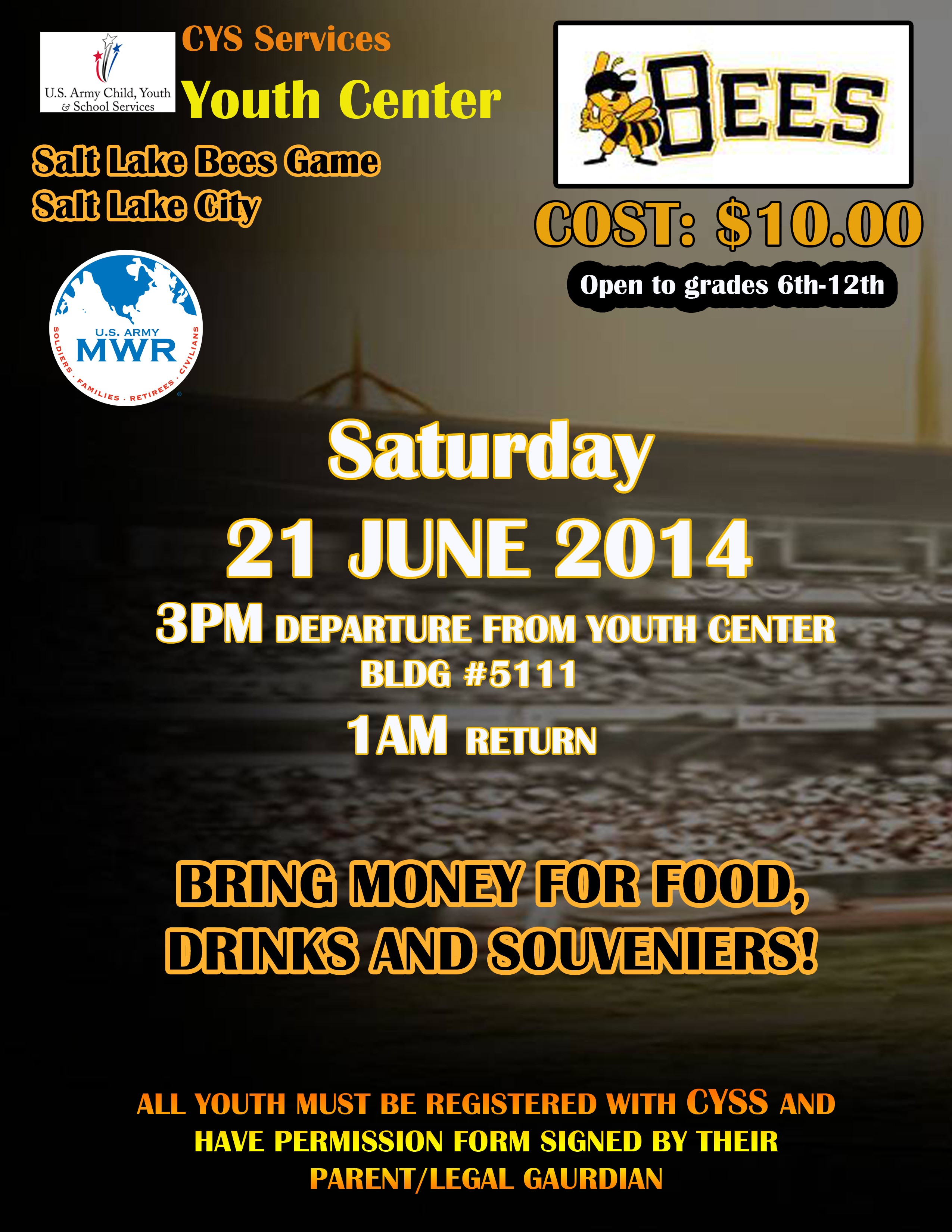 CYSS Bee's Baseball Game | Article | The United States Army