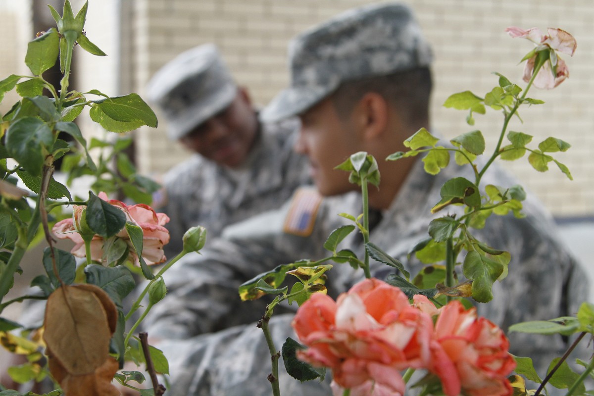 Asking the hard questions | Article | The United States Army