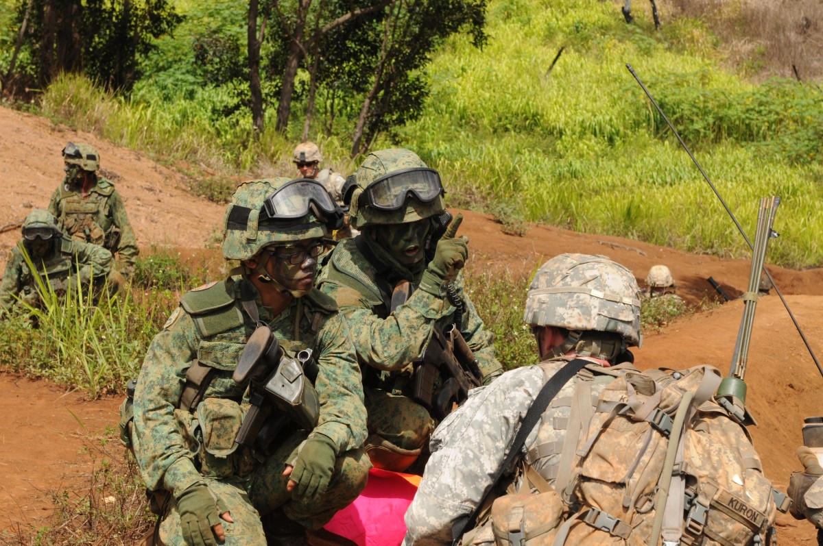 SAF, 'Cacti' partner for Tiger Balm 14 | Article | The United States Army