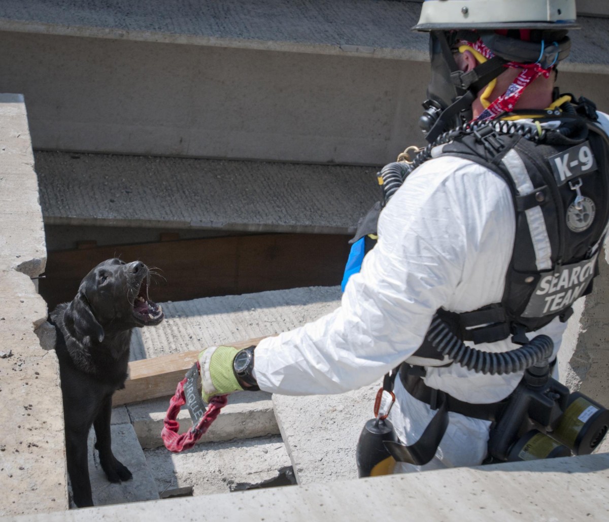 Ohio Task Force 1 Rescue Dogs conduct search and rescue at Vibrant ...