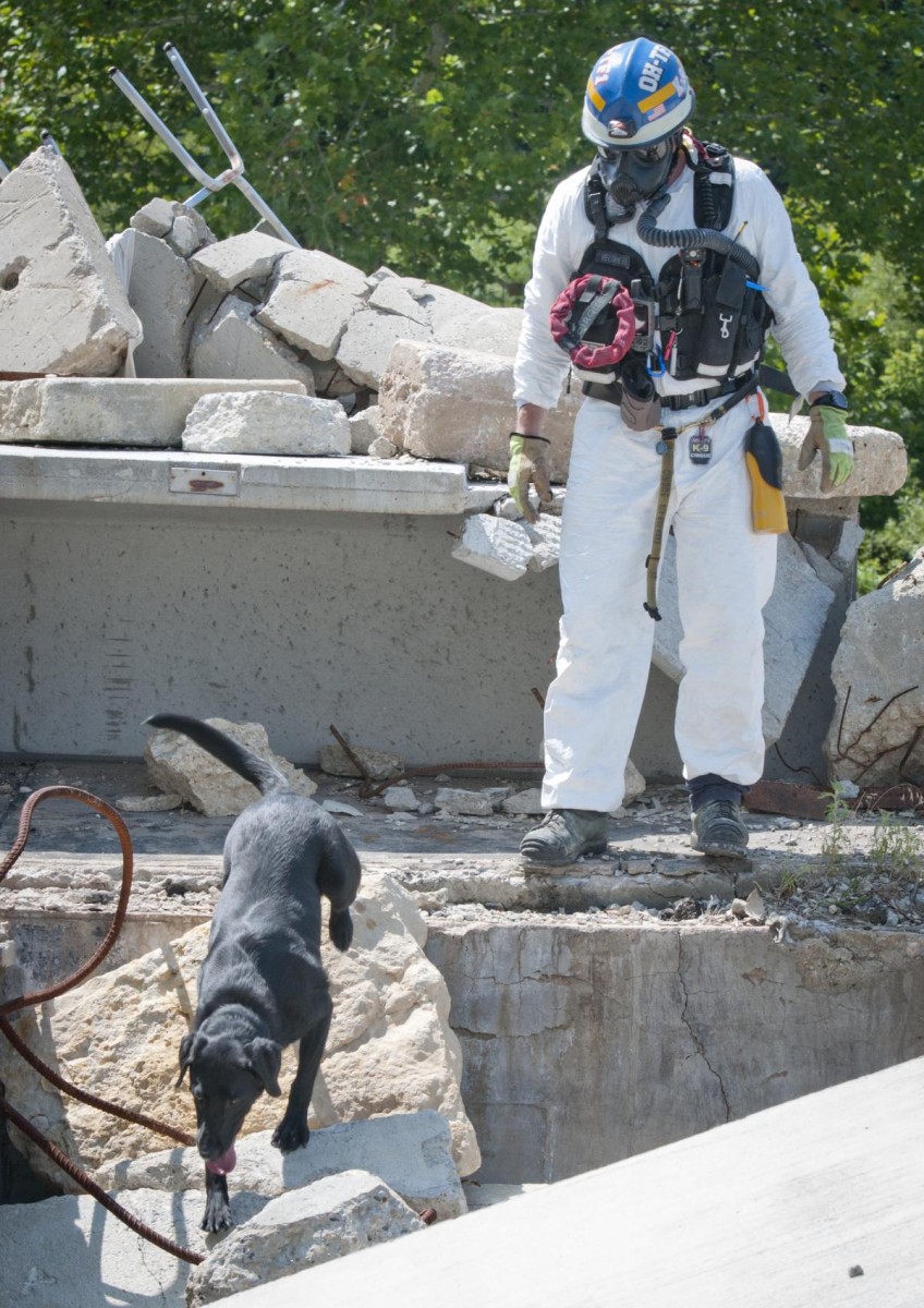 Ohio Task Force 1 Rescue Dogs conduct search and rescue at Vibrant ...