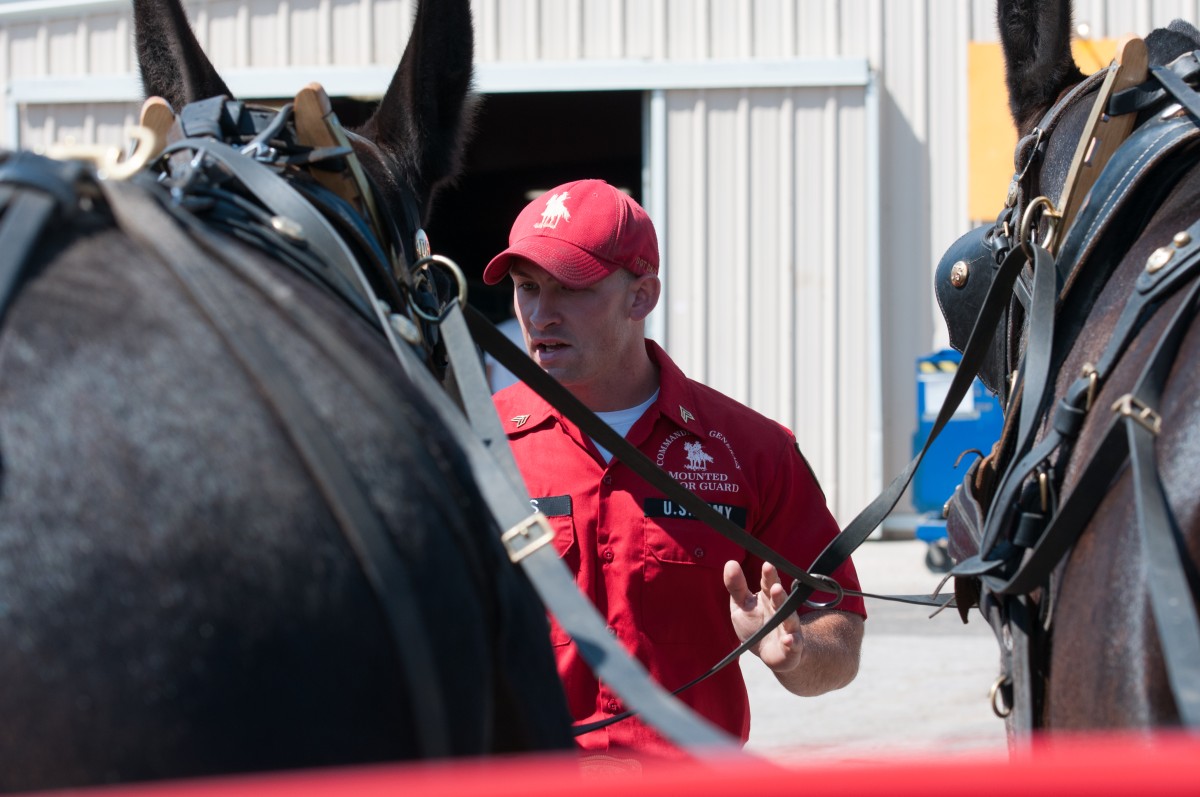 Mounted color guard Soldiers represent 'Big Red One' at Kansas State ...