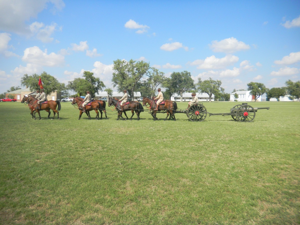Field Artillery Half Section competes to keep equine skills sharp ...