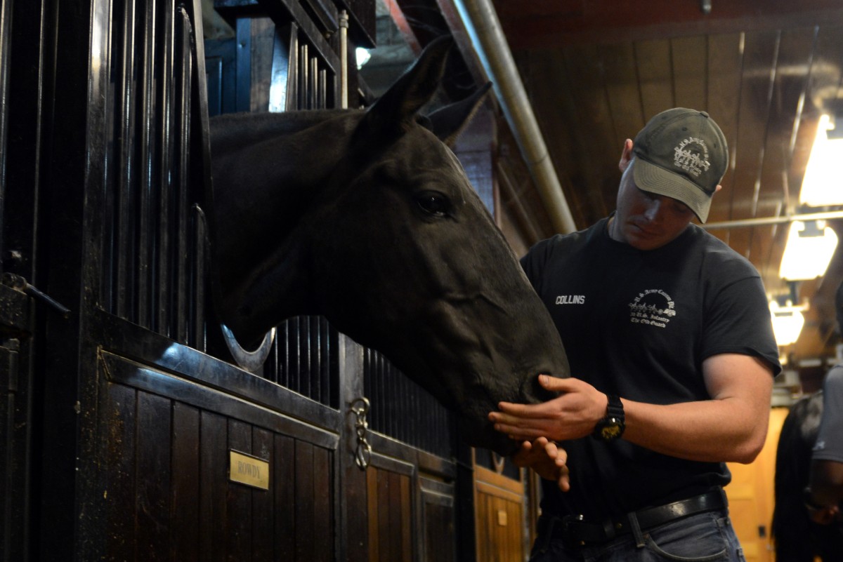 Caisson Platoon: Solemn duty of honor and respect | Article | The ...
