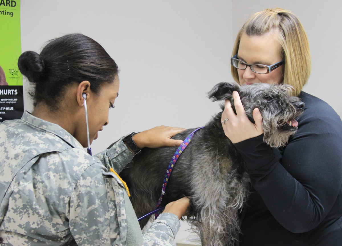 Fort Sill Veterinary Treatment Facility expands services | Article ... Fort Sill Veterinary Treatment Facility expands services | Article ...