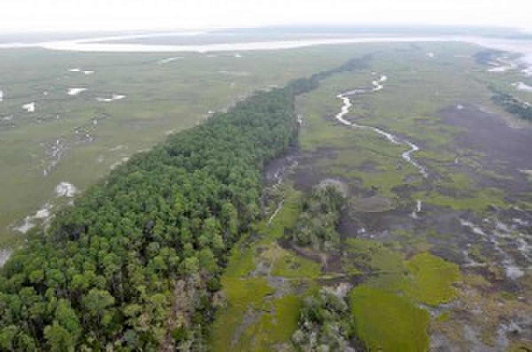 The Savannah Harbor Expansion Project and the Savannah River - A Wrap ...