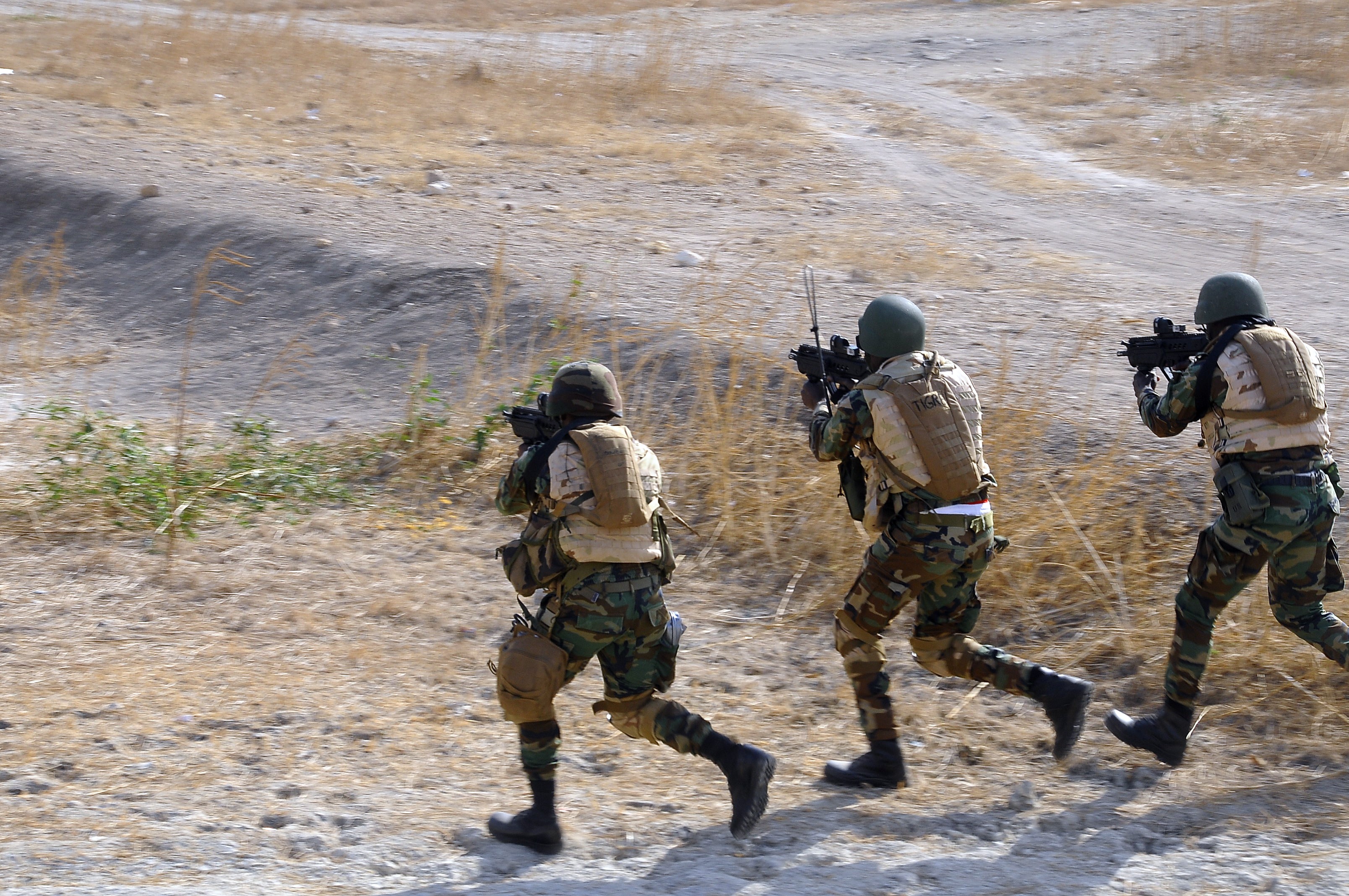 African Land Forces Summit 15 ends with a beginning | Article | The ...