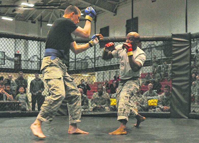 Combatives event puts warrior skills to test | Article | The United ...