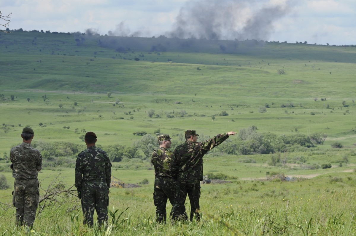 Distinguished Visitors Day at Cincu Training Area | Article | The ...