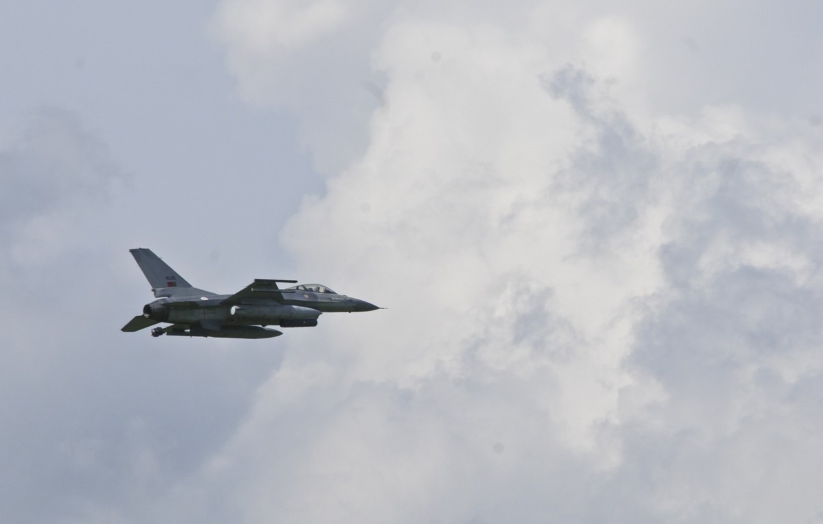 Distinguished Visitors Day at Cincu Training Area | Article | The ...