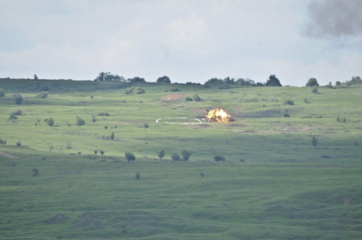 Distinguished Visitors Day at Cincu Training Area | Article | The ...